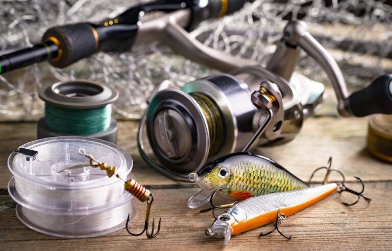 Beginner Fishing Gear: A Complete Checklist for New Anglers - Michaels ...